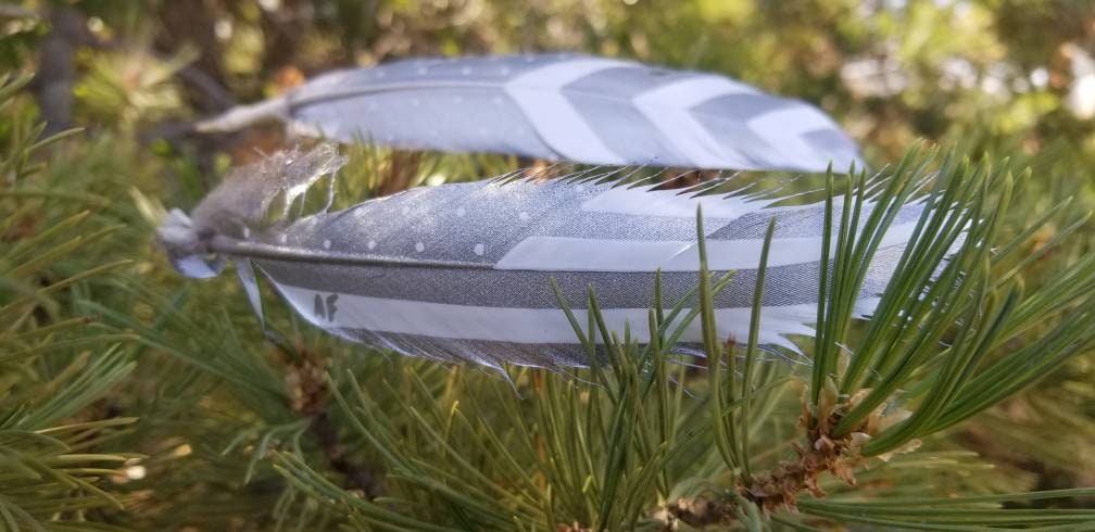 Platinum Classic American Feather