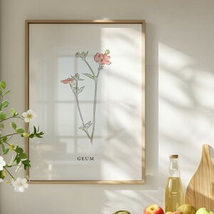 Geum Flower Illustration - Print / Poster - Botanical Art, Spring Home ...