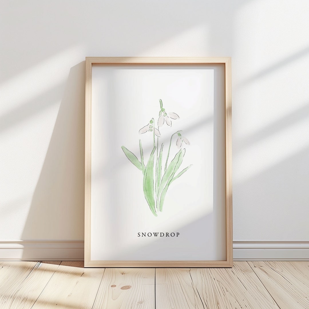 Snowdrop Flower Illustration - Print / Poster - Botanical Art, Winter ...