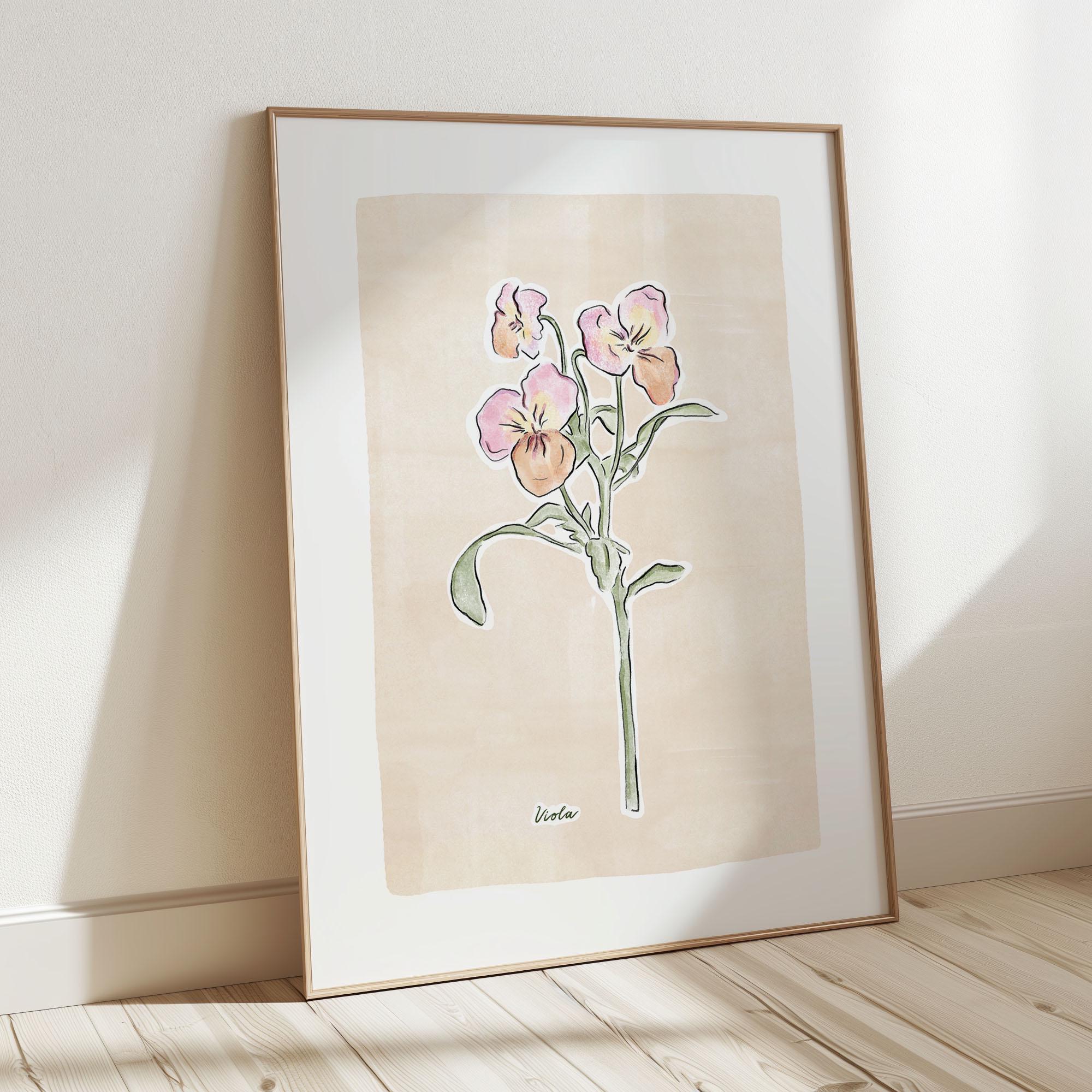 Viola Flower Illustration With Background - Print / Poster - Botanical ...