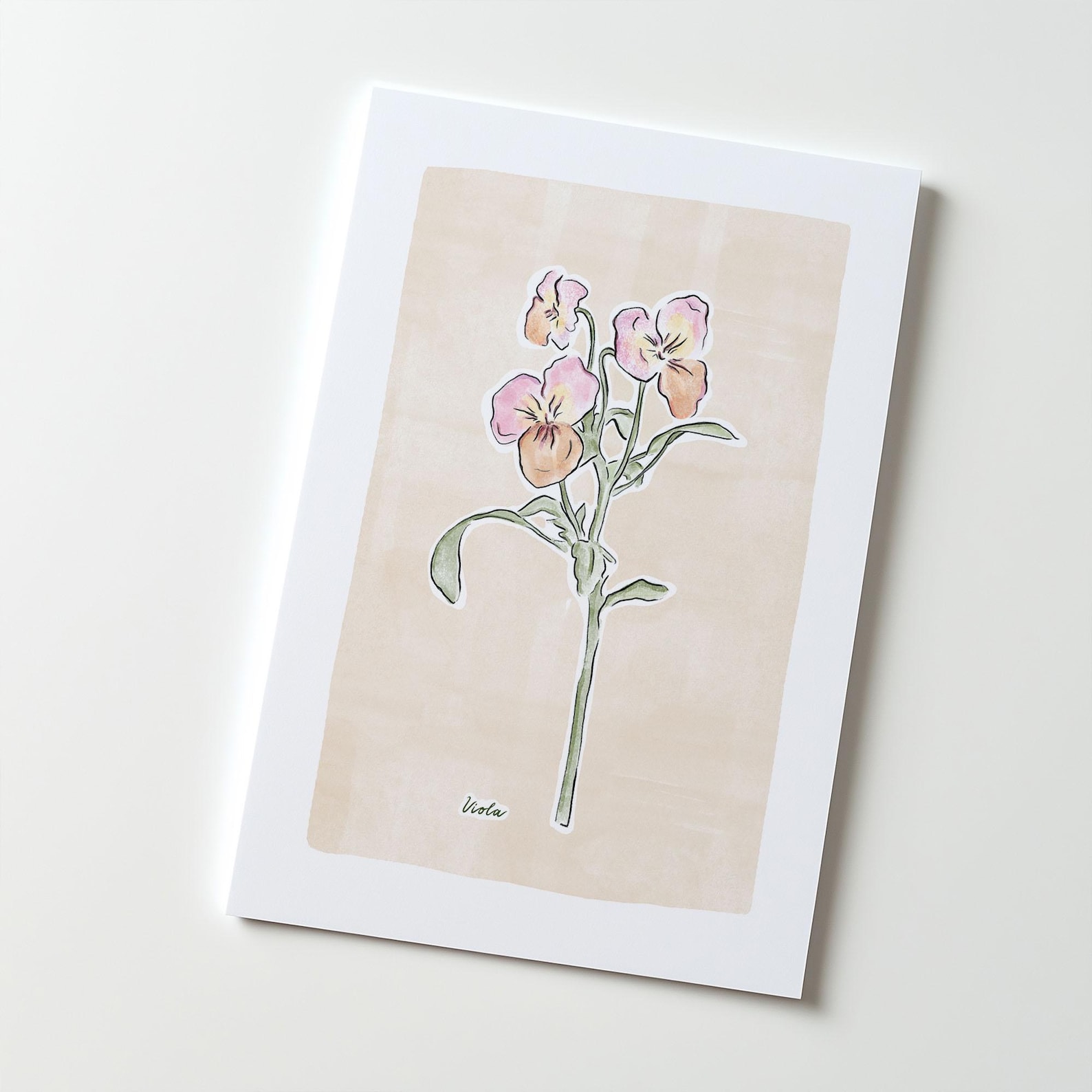 Viola Flower Illustration With Background - Print / Poster - Botanical ...