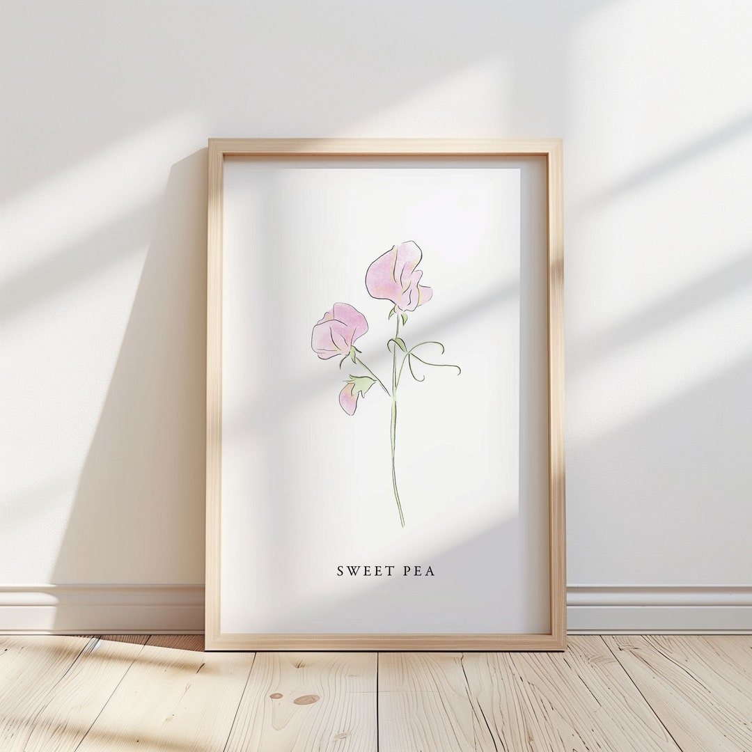Sweet Pea Flower Illustration - Print / Poster - Botanical Art, Spring ...