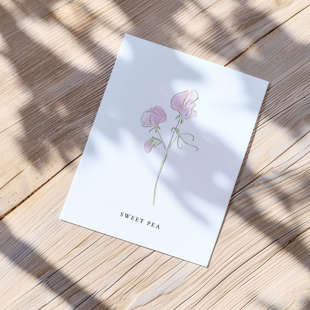 Sweet Pea Flower Illustration Print / Poster Botanical Art, Spring ...