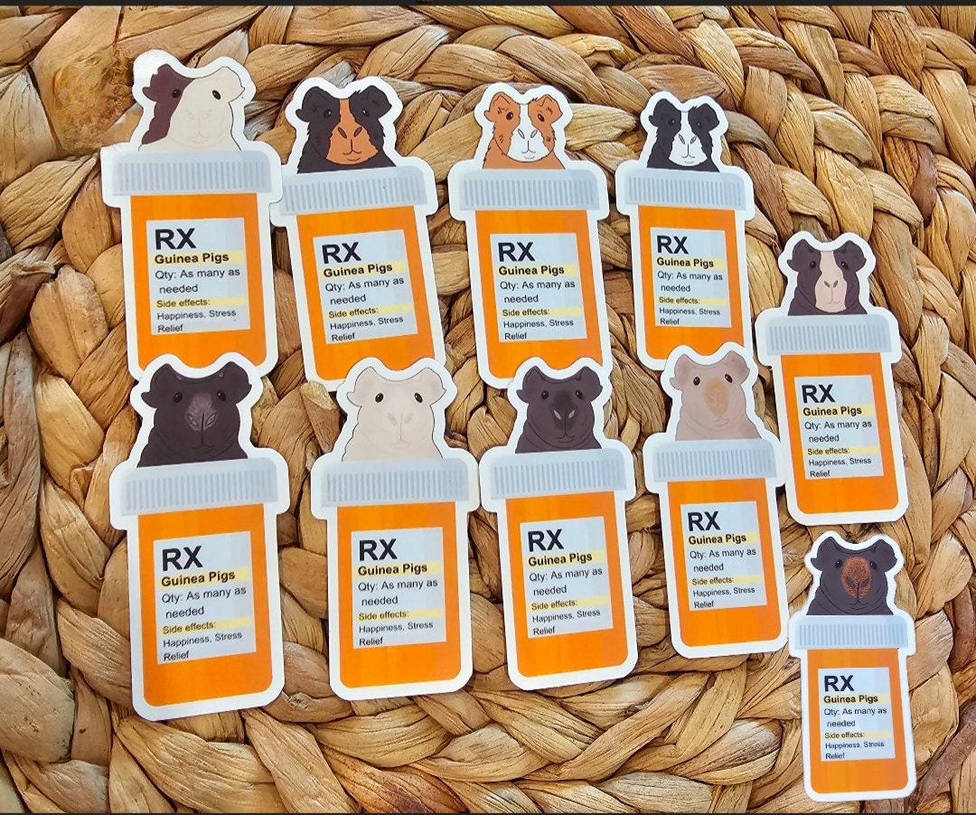 Guinea Pig Prescription Bottle Stickers | Vinyl Stickers | Waterproof ...