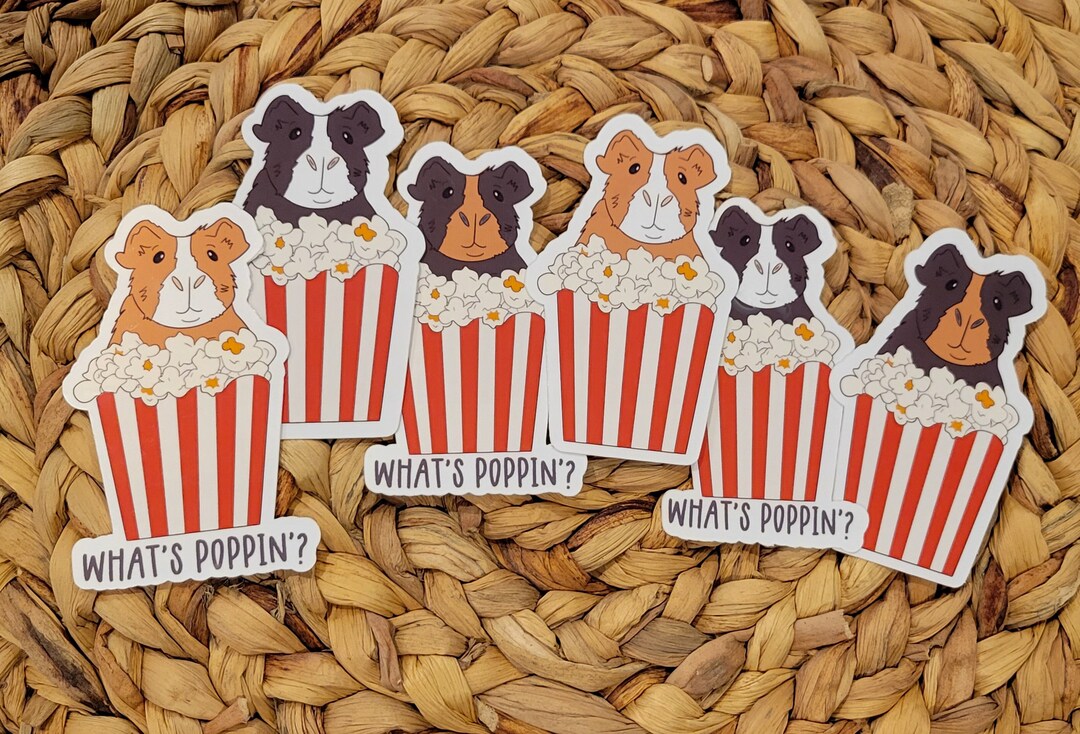 Popcorn Guinea Pig Stickers What's Poppin' Guinea Pigs Vinyl Stickers ...