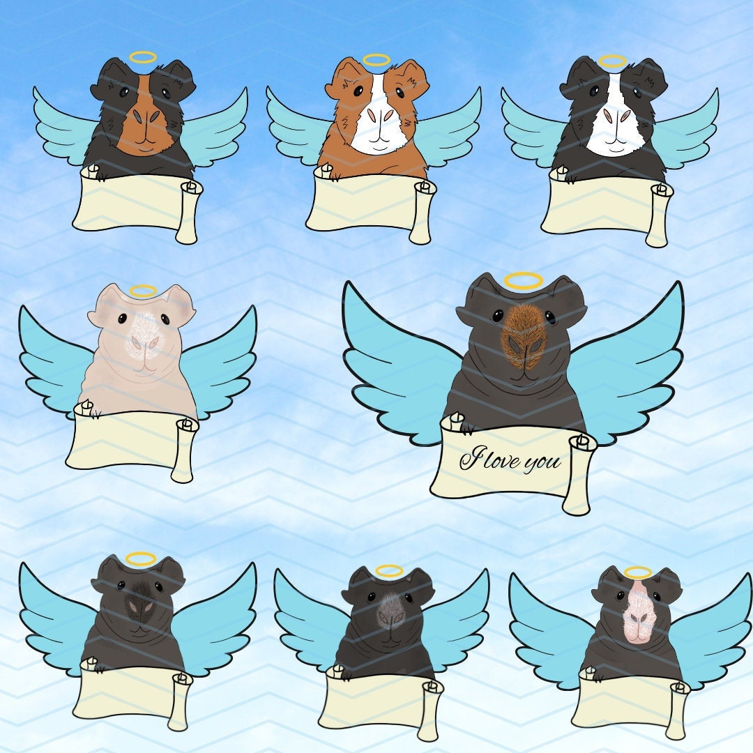 Angel Guinea Pig Stickers Skinny Pigs Skinny Pig Angel Hairless Love ...