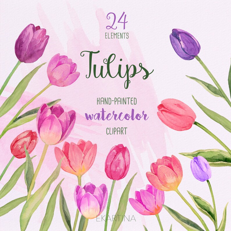 Watercolor Tulips Cliparthand Painted Tulip Flowersspring - Etsy