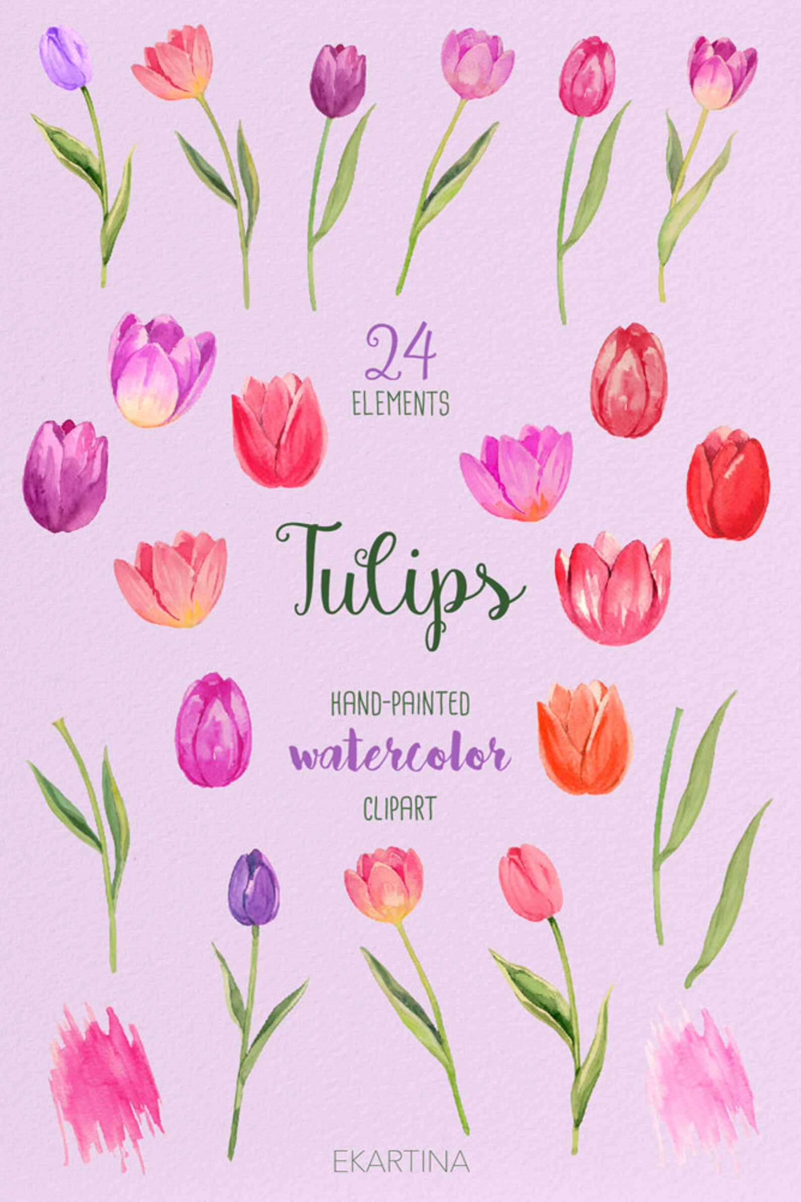 Watercolor Tulips Cliparthand Painted Tulip Flowersspring - Etsy