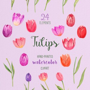 Watercolor Tulips Cliparthand Painted Tulip Flowersspring - Etsy