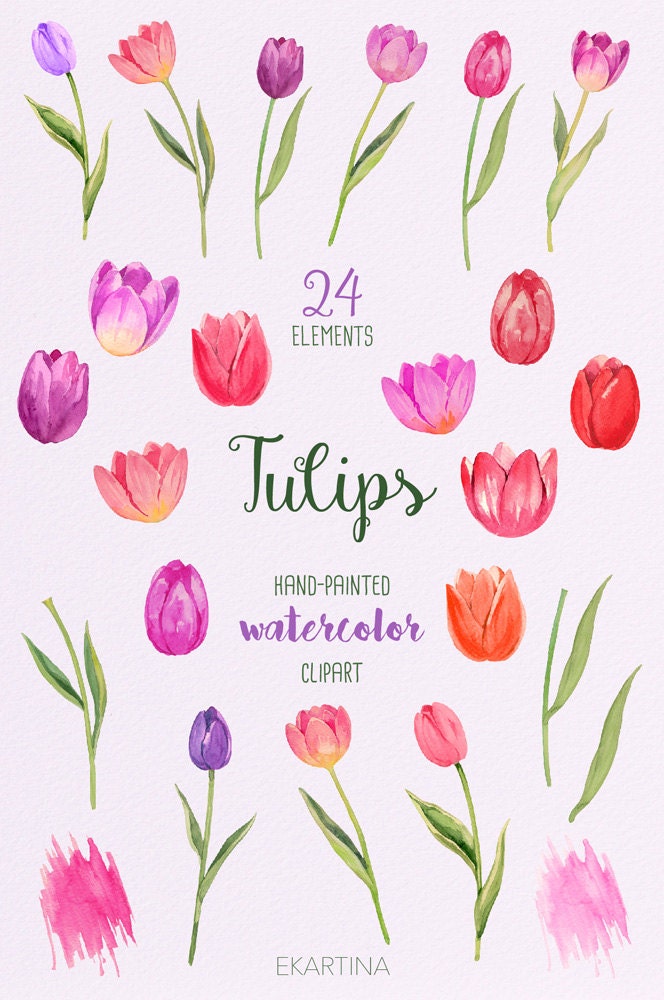 Watercolor Tulips ClipArtHand painted tulip flowersspring | Etsy