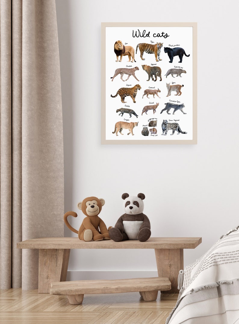 Wild Cats Real Photos Educational Poster, Homeschool Chart, Montessori ...
