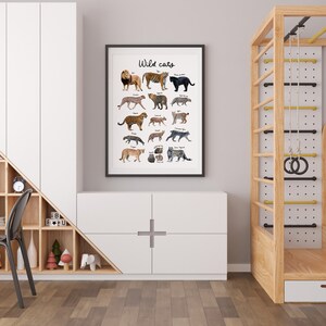 Wild Cats Real Photos Educational Poster, Homeschool Chart, Montessori ...