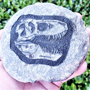 Engraved River Stone: Simulated Dinosaur Fossil, Kids Discovery ...
