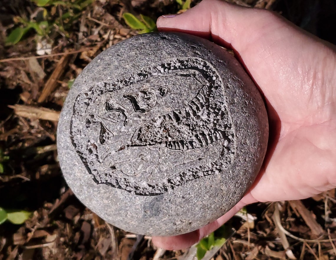 Engraved River Stone: Simulated Dinosaur Fossil, Kids Discovery ...