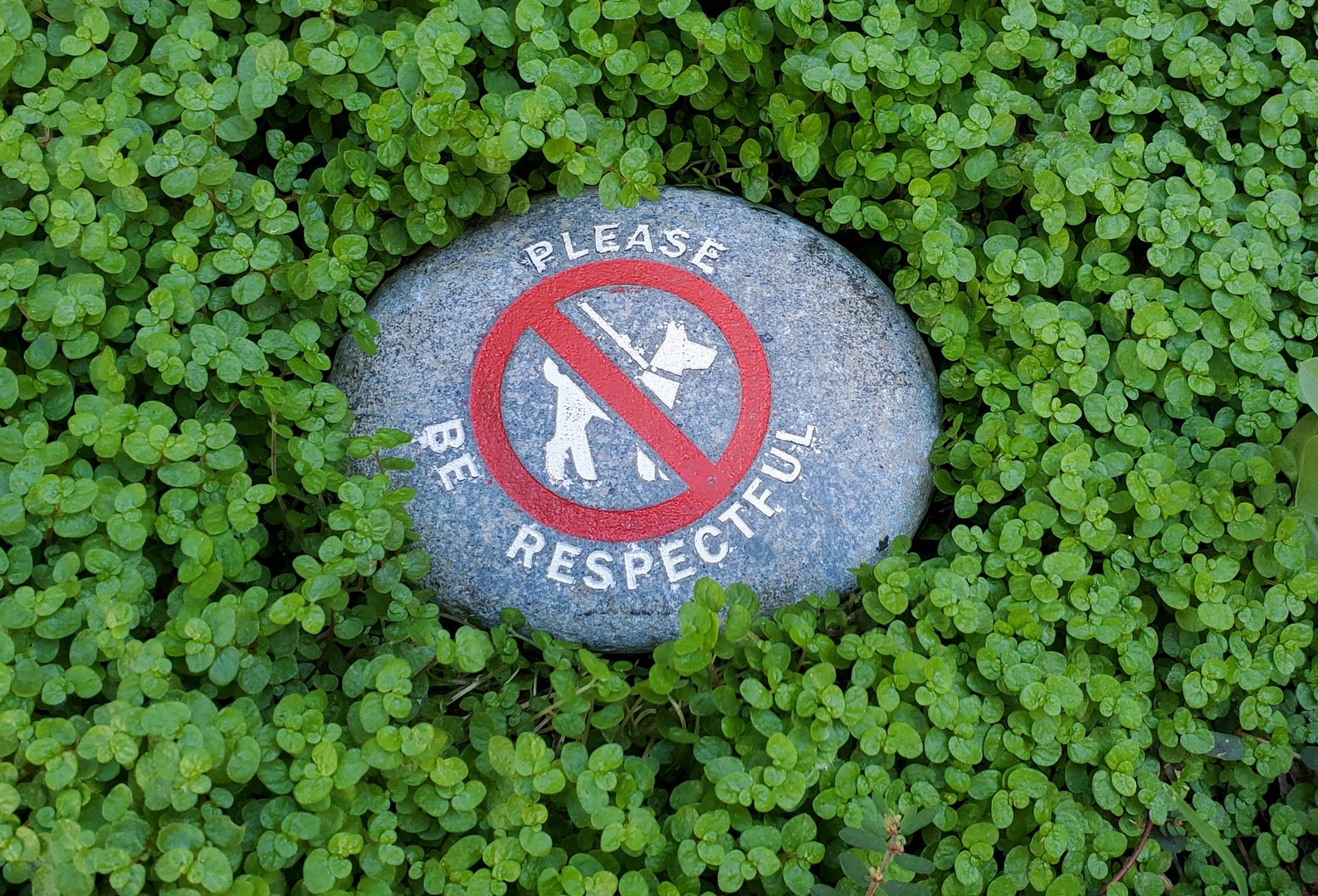 No Pooping Dog Sign No Dog Pee Sign Customizable Engraved - Etsy