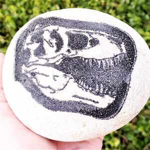 Engraved River Stone: Simulated Dinosaur Fossil, Kids Discovery ...