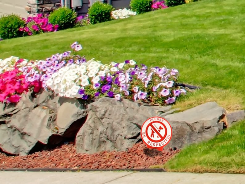 No Pooping Dog Sign, TWO SIDED: Dogs & Walkers Stay Away / No Poop and ...