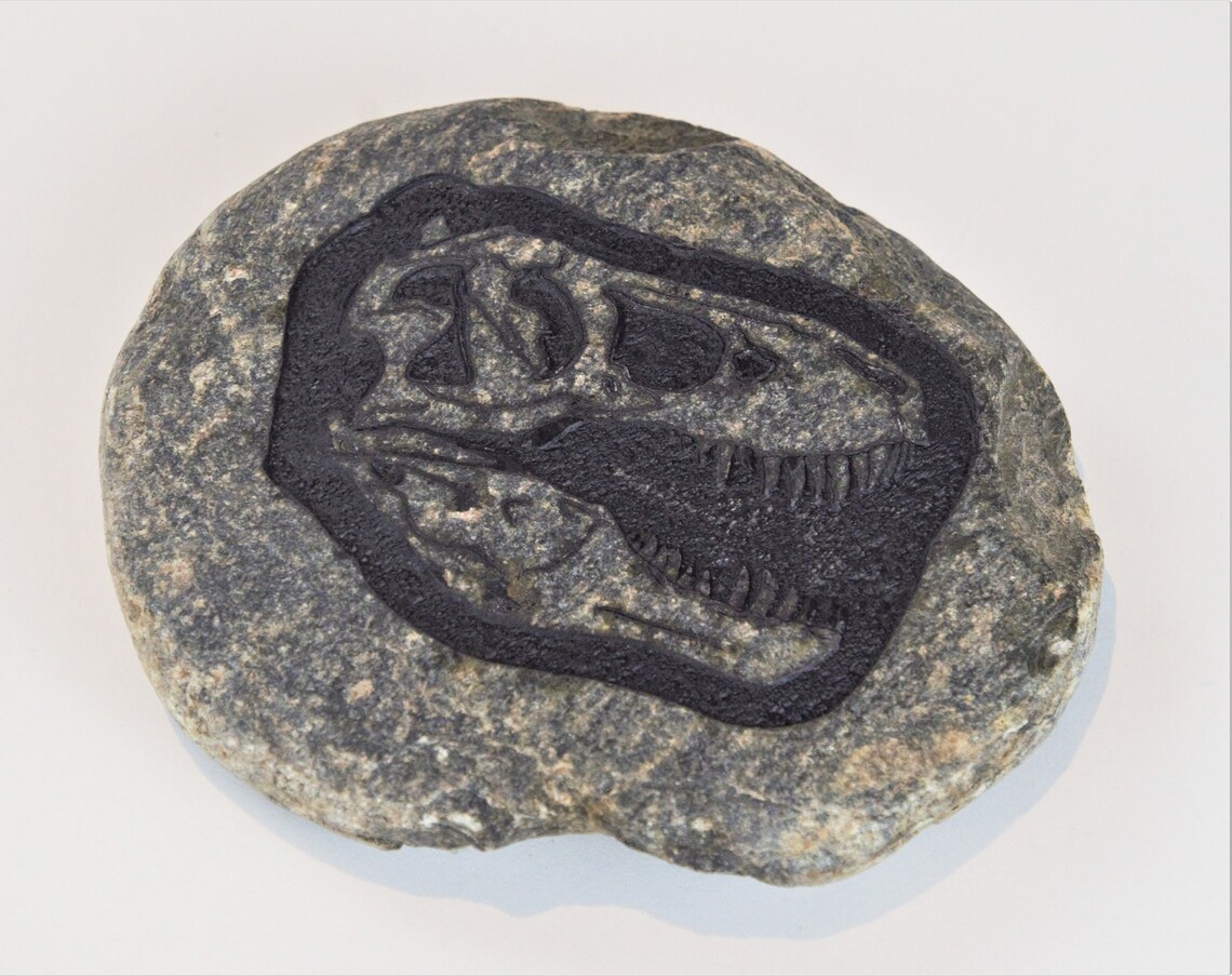 Engraved River Stone: Simulated Dinosaur Fossil, Kids Discovery ...