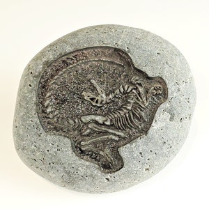 Engraved River Stone: Simulated Dinosaur Fossil, Kids Discovery ...