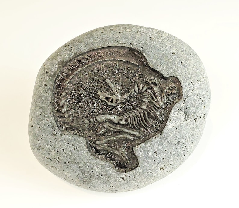 Engraved River Stone: Simulated Dinosaur Fossil, Kids Discovery ...