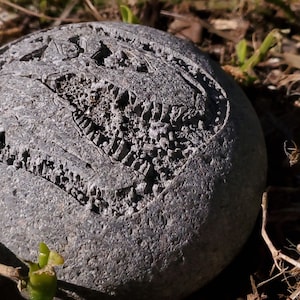 Engraved River Stone: Simulated Dinosaur Fossil, Kids Discovery ...