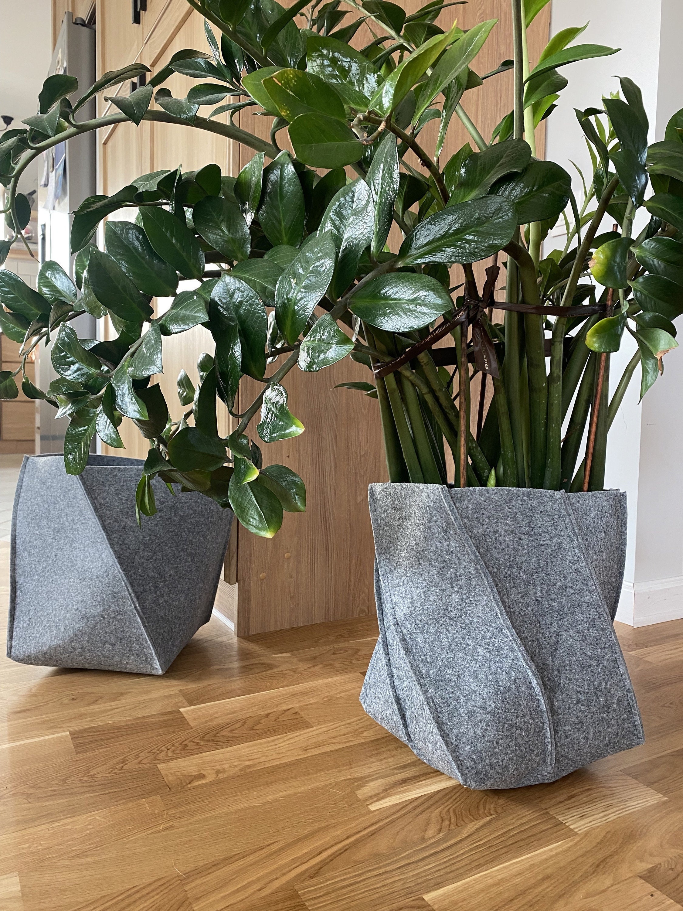 Large Felt Plant Pot, Plant Basket, Case for Planters - Etsy