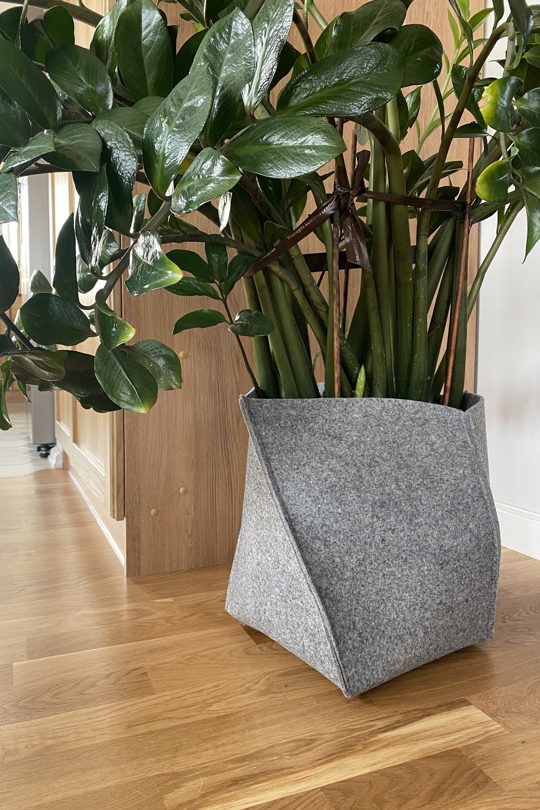 Large Felt Plant Pot, Plant Basket, Case for Planters - Etsy