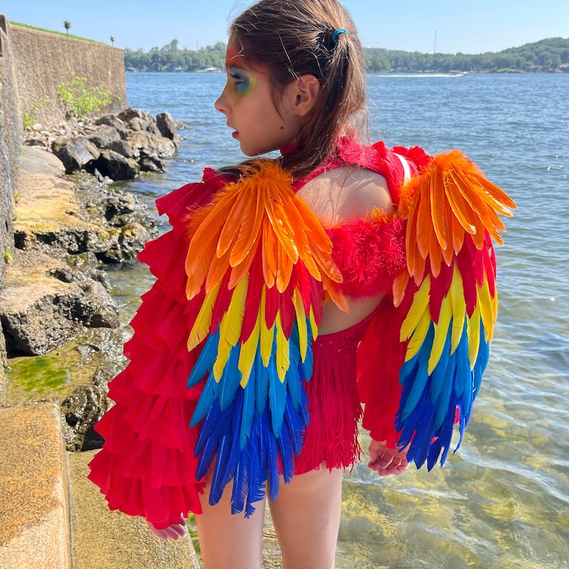 Rio Costume Halloween - Etsy