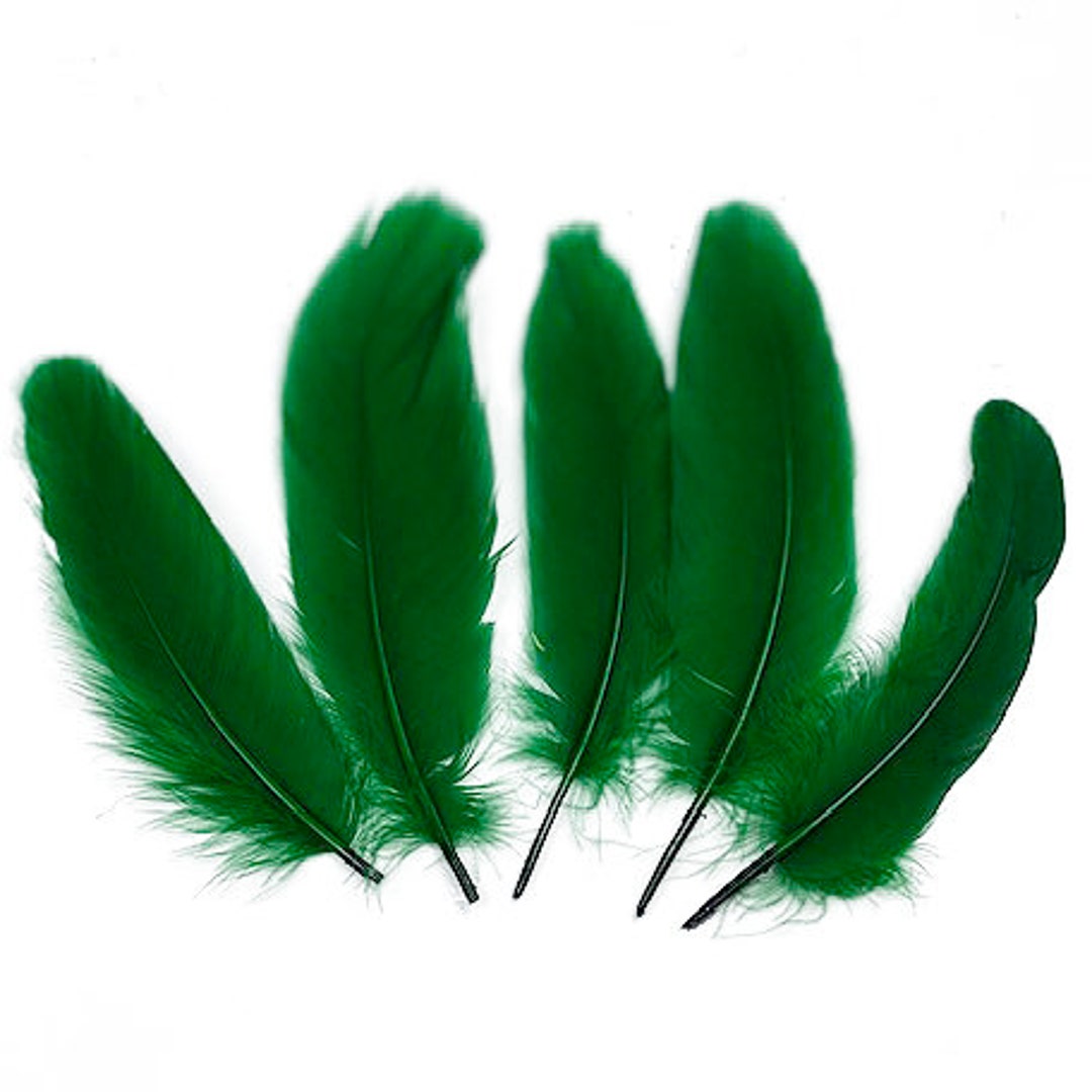 Goose Satinette Feathers, 4-6" Kelly Green Loose Goose Feathers, Small ...