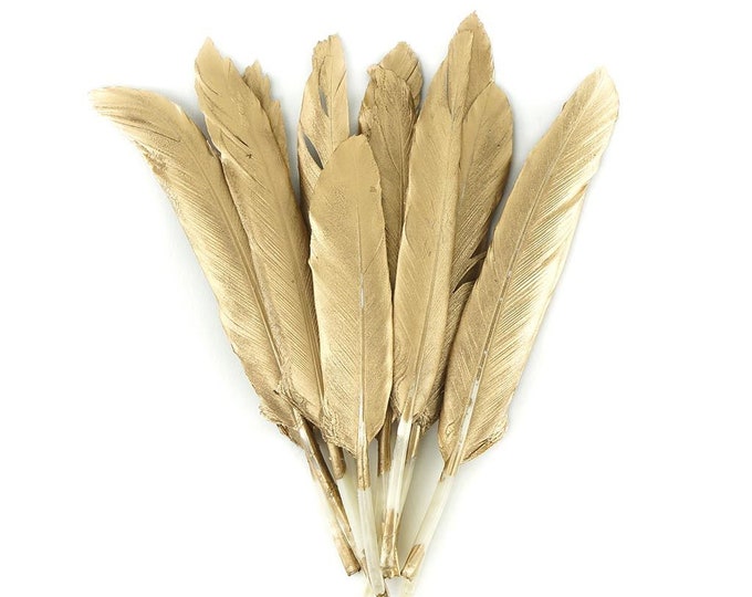 4-6 GOLD Gilded Goose Pointer Feathers 12 Pieces for | Etsy