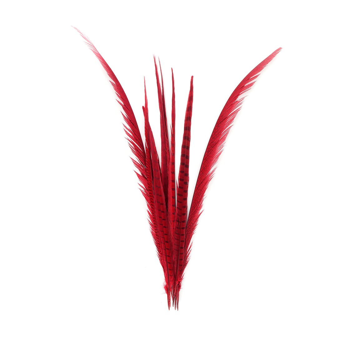 Long Red Pheasant Feathers, 16-30 Inch Bleach Dyed Ringneck & Golden ...