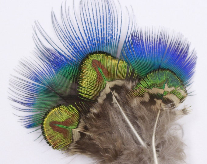 Pheasant Feathers Natural Heart Pheasant Plumage Loose Short - Etsy