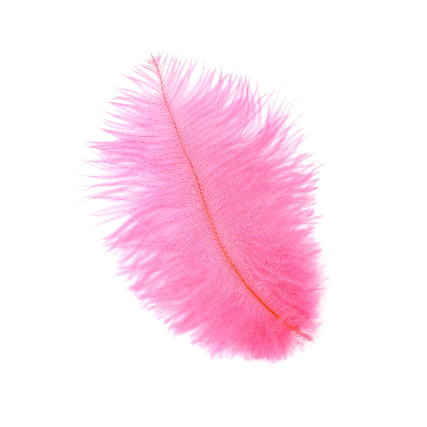 Neon Feather Centerpieces