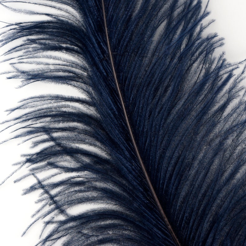 Ostrich Feathers Navy Ostrich Feather Spads 18-24 | Etsy