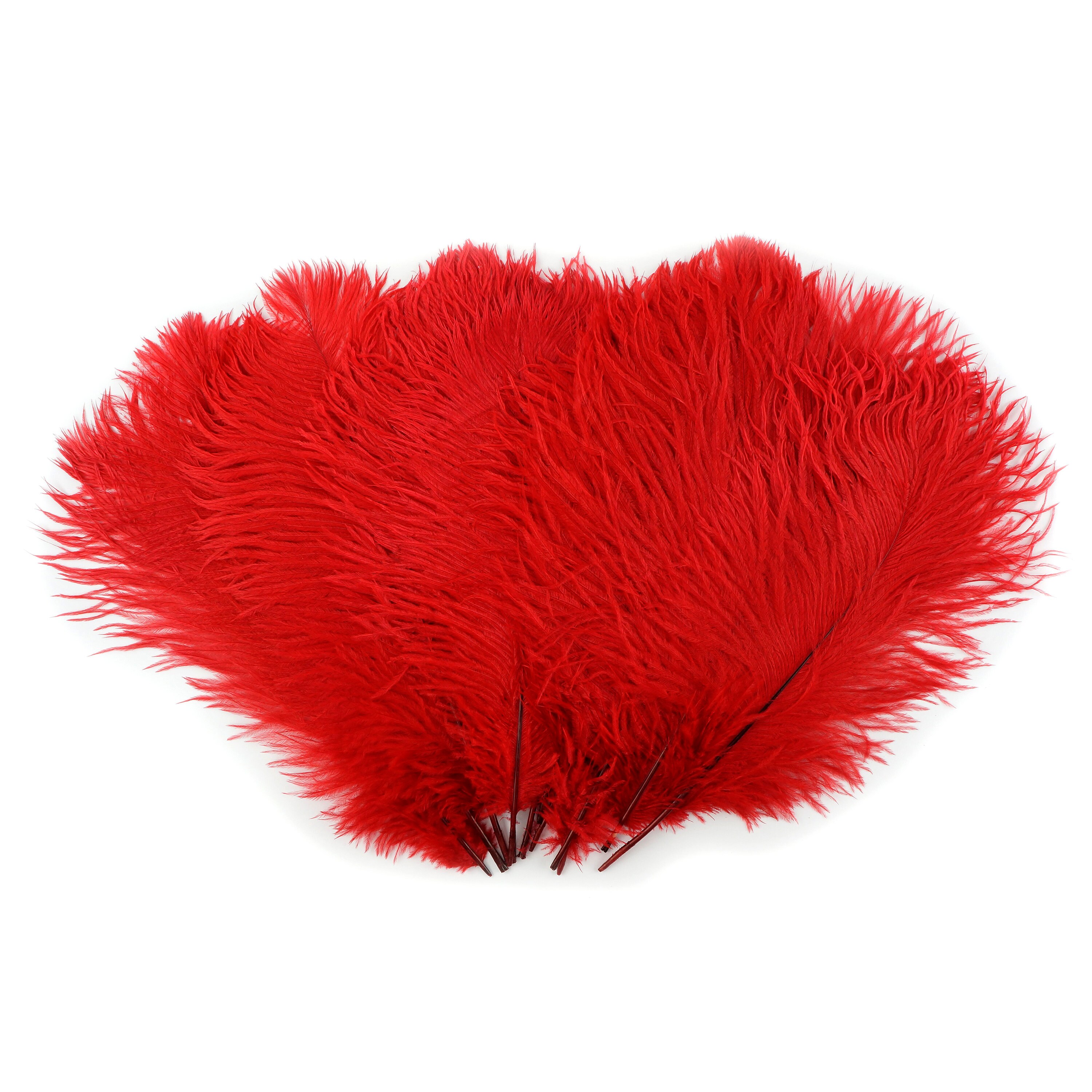 Ostrich Feathers 13-16