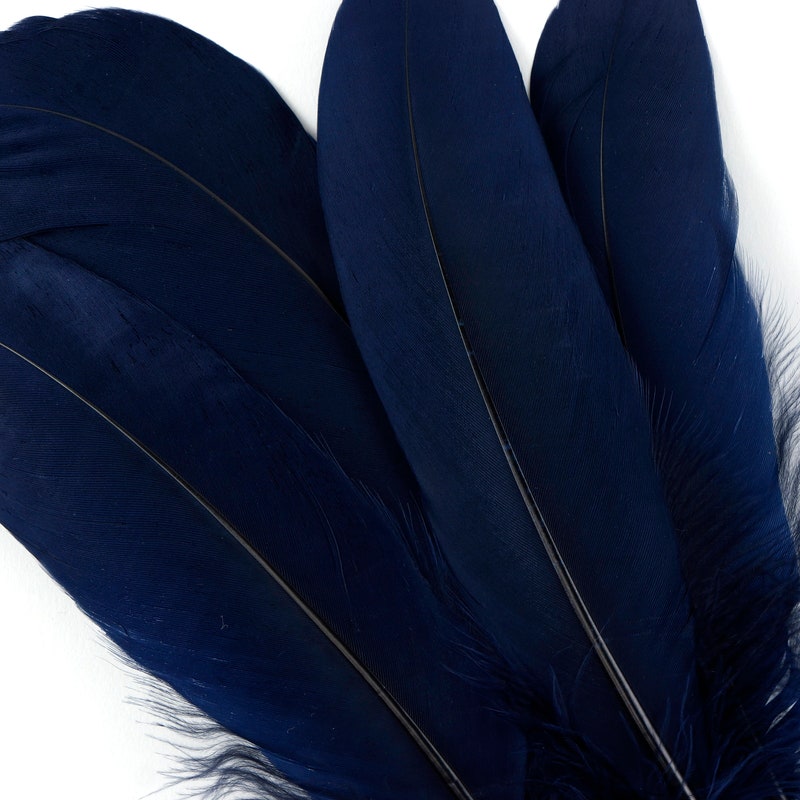 Navy Blue Feathers - Etsy