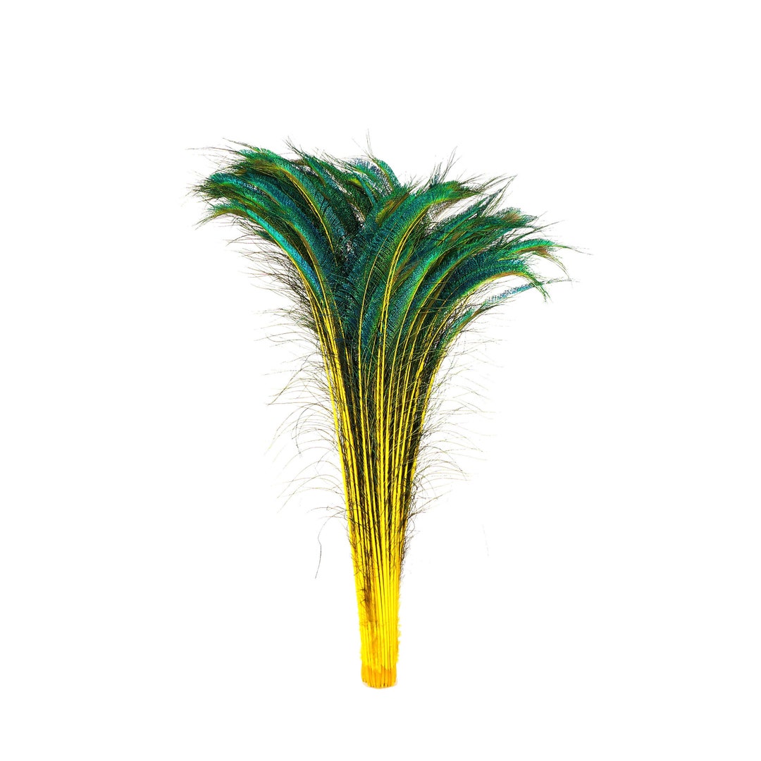 Long Peacock Swords 10 to 100 Pc 25-40" Stem Dyed YELLOW Floral Decor ...