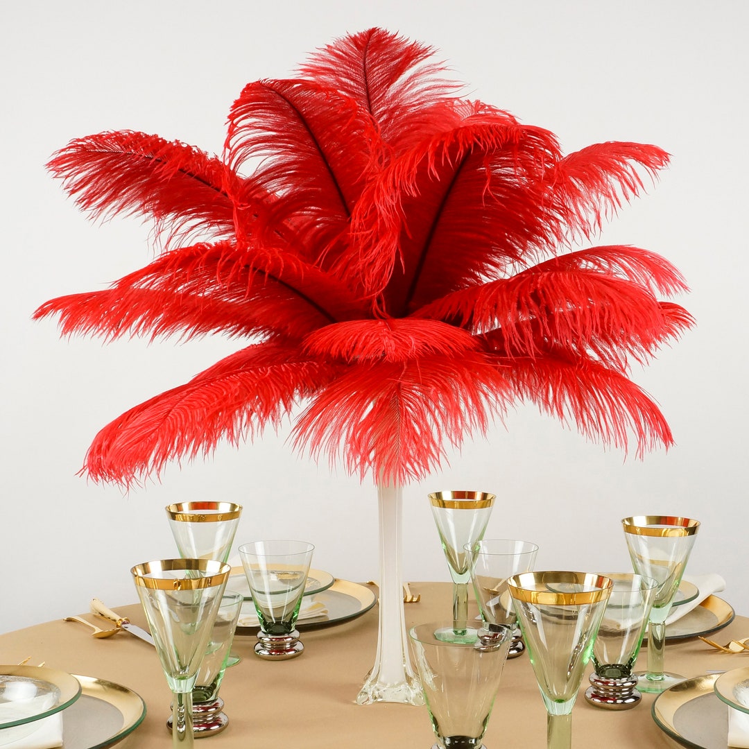 Ostrich Feathers 13-16" RED - for Feather Centerpieces, Party Decor ...