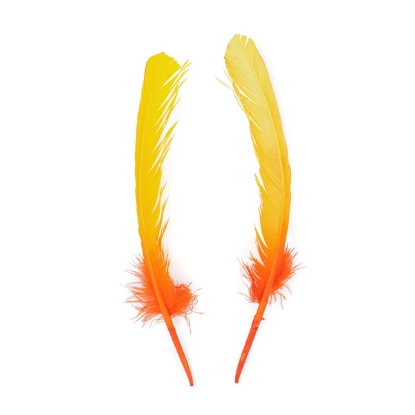 Two Feathers - Etsy