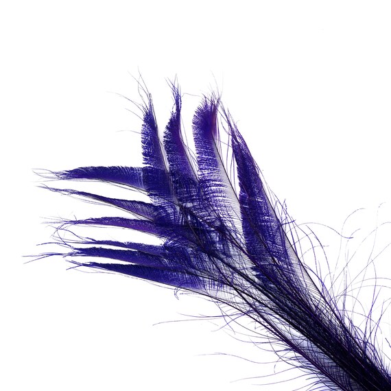 Bleach Dyed Peacock Sword Feathers 10 to 100 Pieces | Etsy