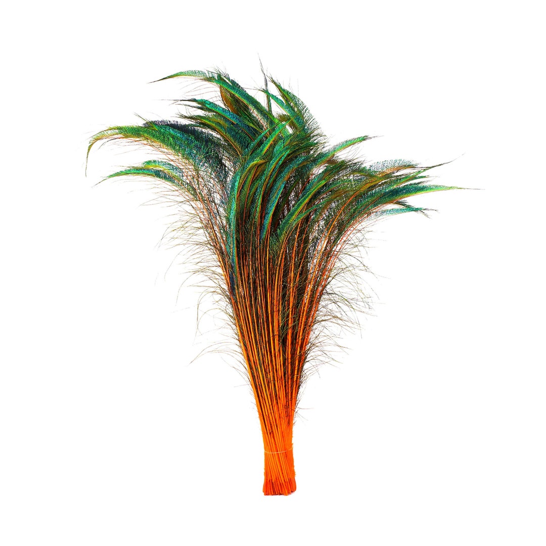 Long Peacock Swords, 10 to 100 Pcs 25-40" Stem Dyed - ORANGE, Floral ...