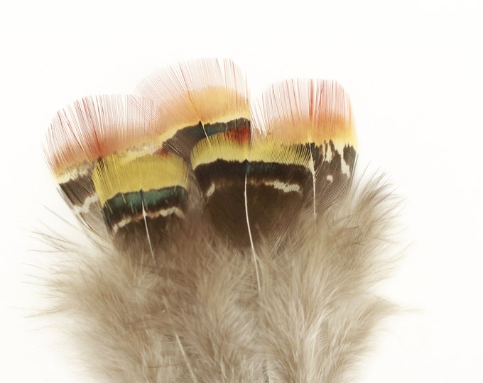 Turkey Feathers White Loose Turkey Plumage Feathers Short - Etsy