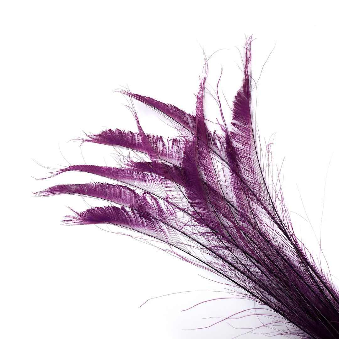 Bleach Dyed Peacock Sword Feathers 10 to 100 Pieces 15-25" PURPLE ...
