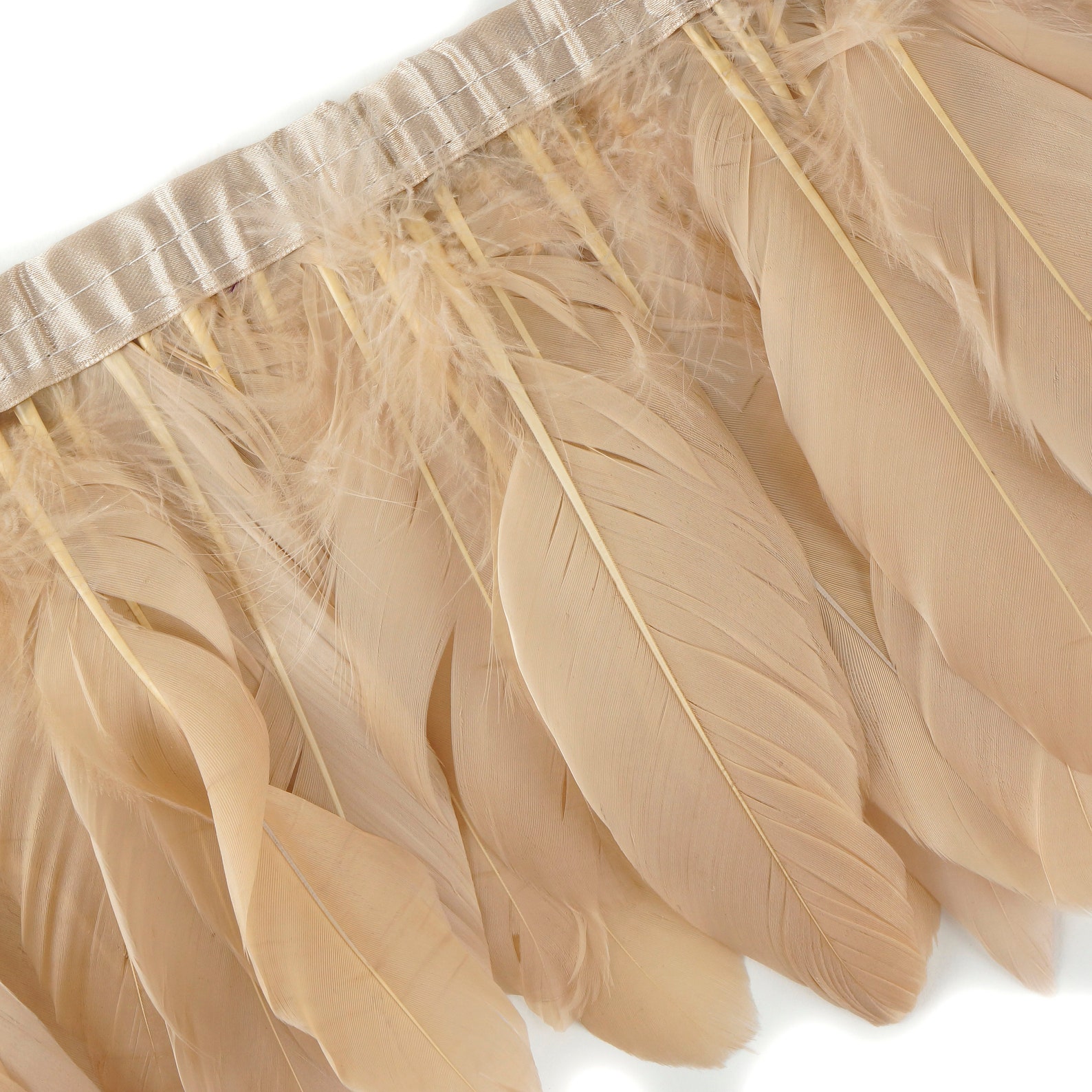 Beige Feather Fringe 1 Yard Parried Goose Feather Fringe for - Etsy