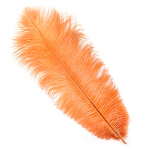 Ostrich Feathers 13-16" Peach CINNAMON - for Feather Centerpieces ...