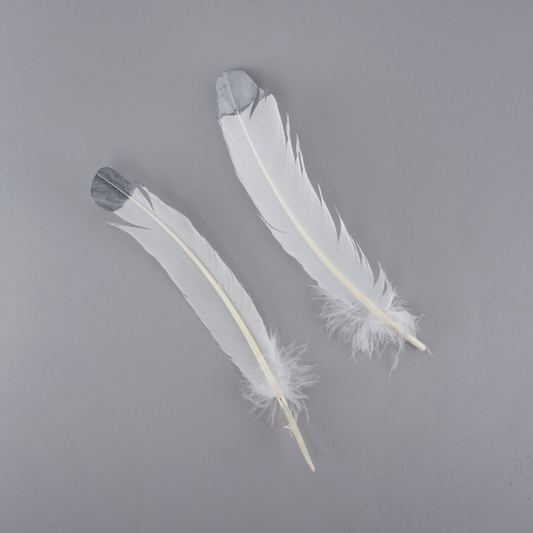 White & Silver Metallic Tipped Turkey Round Feathers 2 Pieces for ...