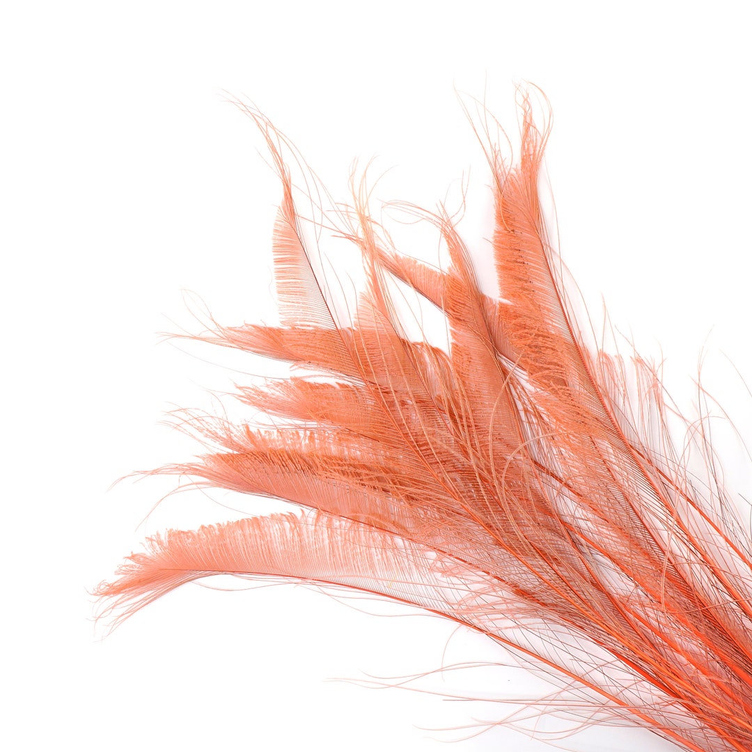 Bleach Dyed Peacock Sword Feathers 10 to 100 Pieces 15-25 Dusty ROSE ...