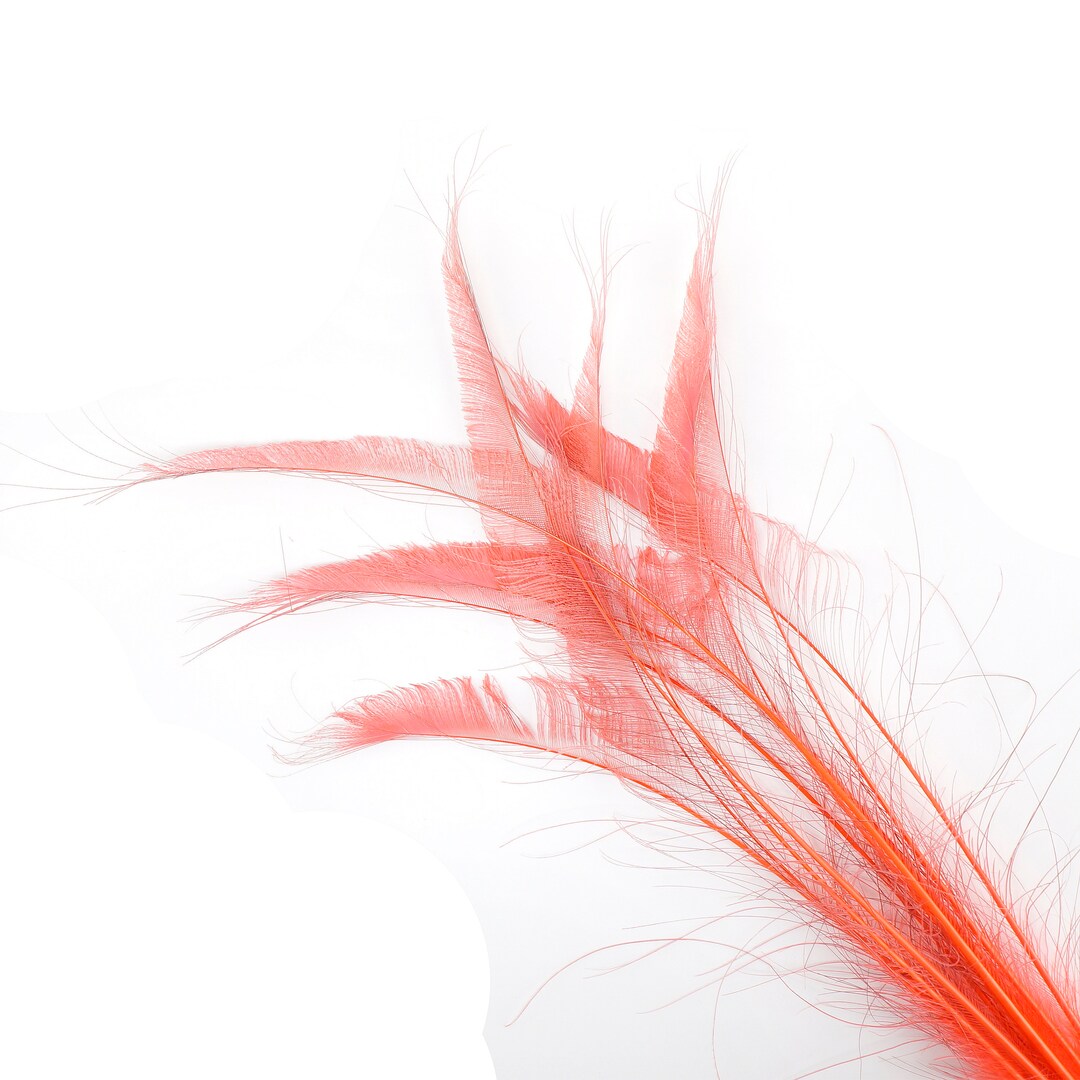 Bleach Dyed Peacock Sword Feathers 10 to 100 Pieces 15-25" CORAL ...