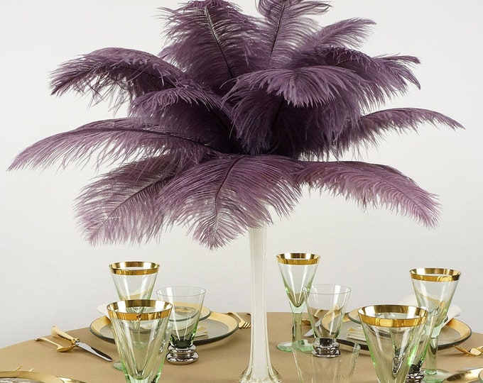 Ostrich Feathers 13-16 IVORY for Feather Centerpieces - Etsy