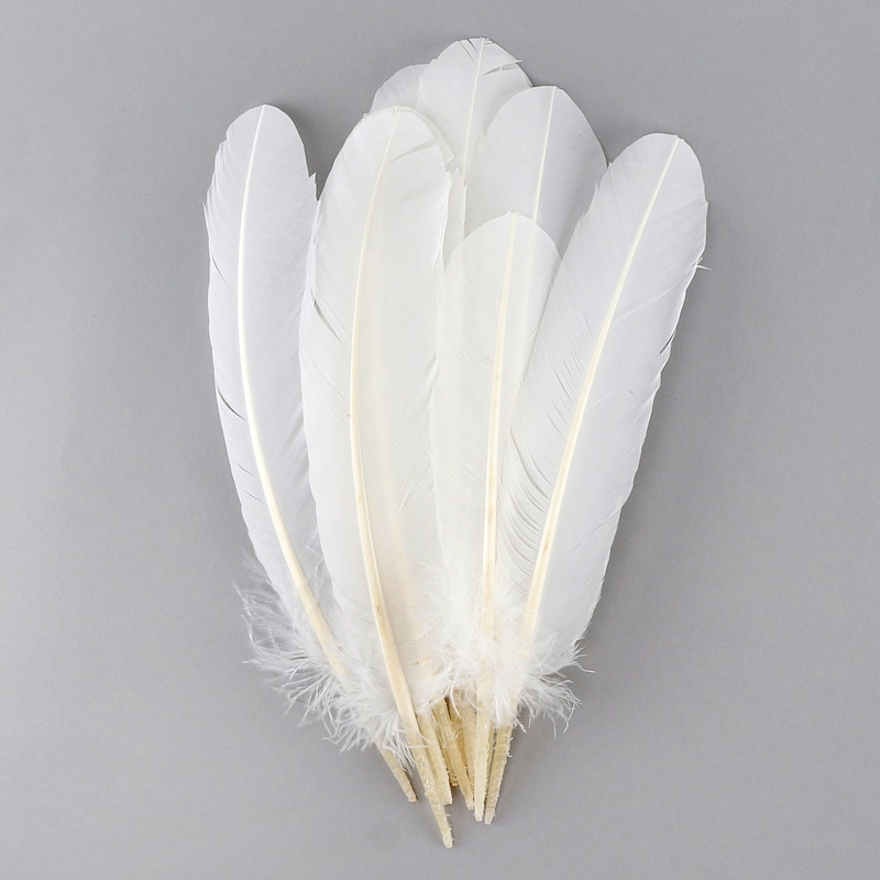 Feather Quills - Etsy